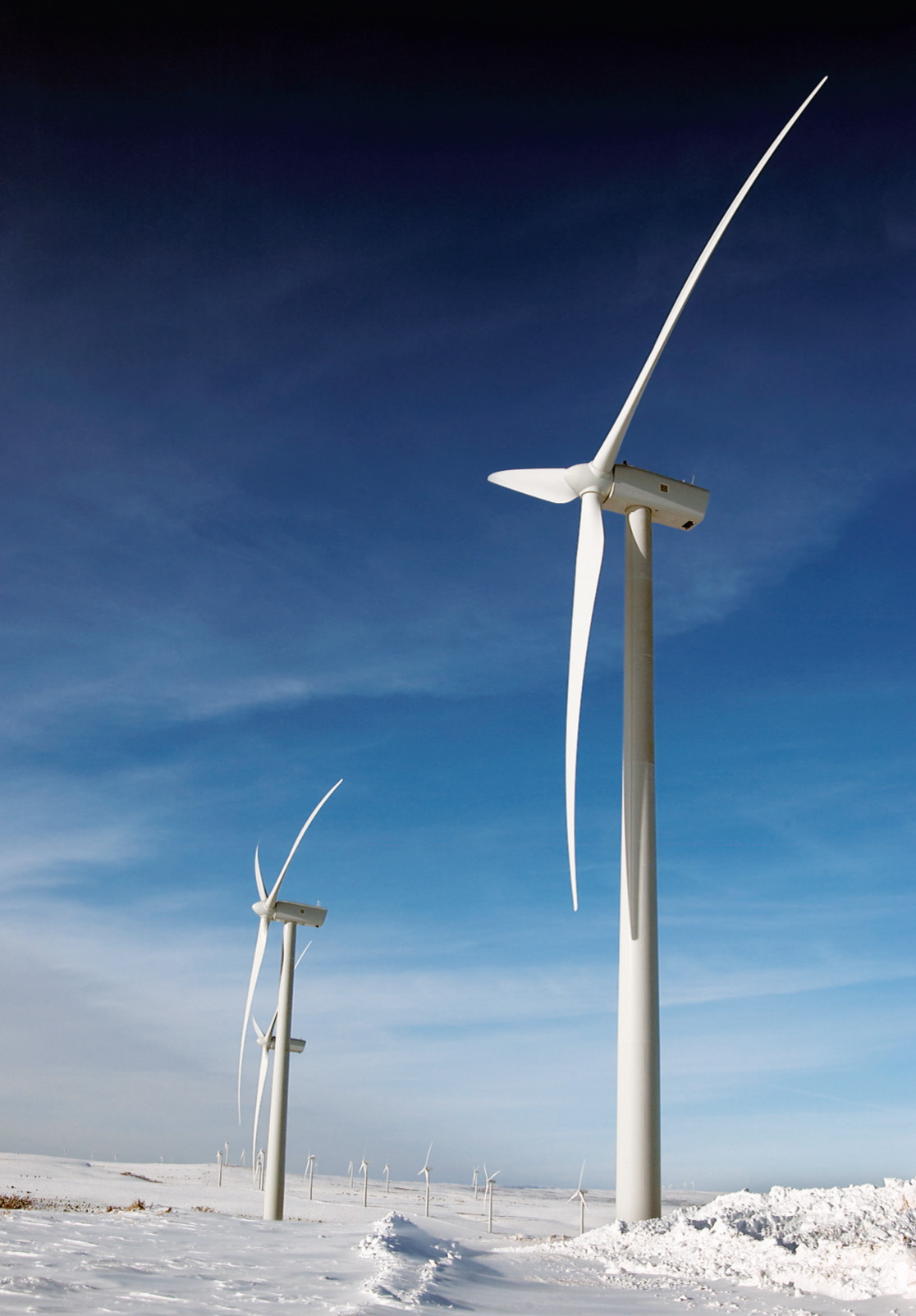 Taming the Wind | Fortnightly