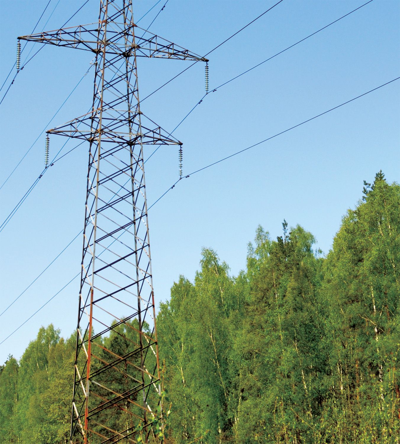 Paying for the Green Grid | Fortnightly