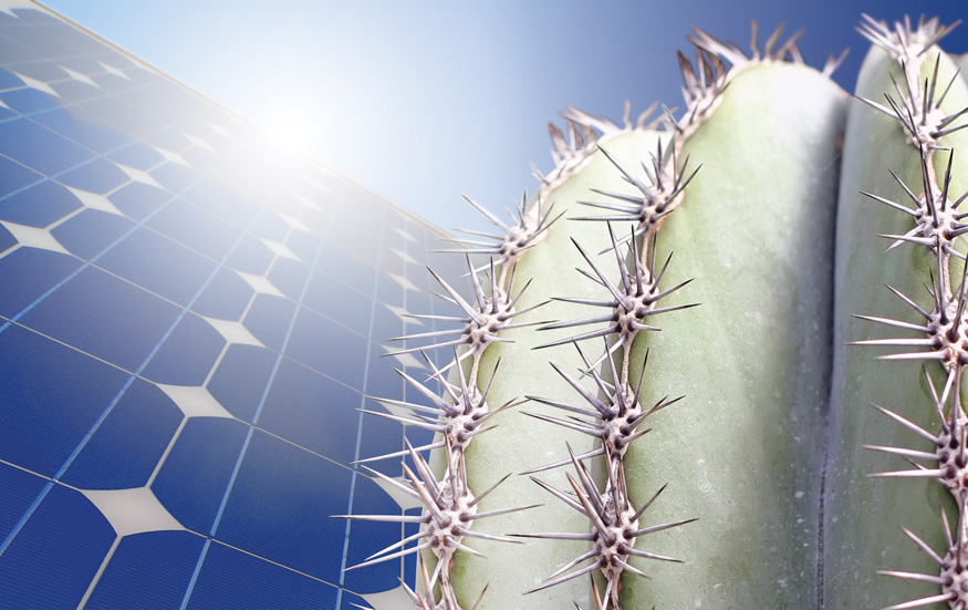 Texas Solar Two Step | Fortnightly