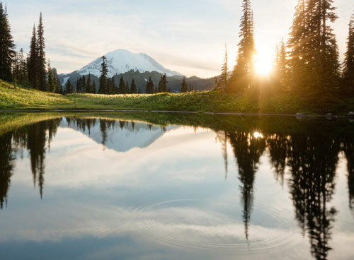 NW Natural Water in New Waters | Fortnightly