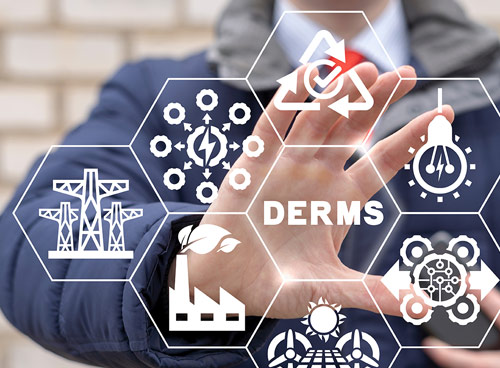 Adapting to Changing Grid with DERMS: Utilities Driving Strategic Value ...