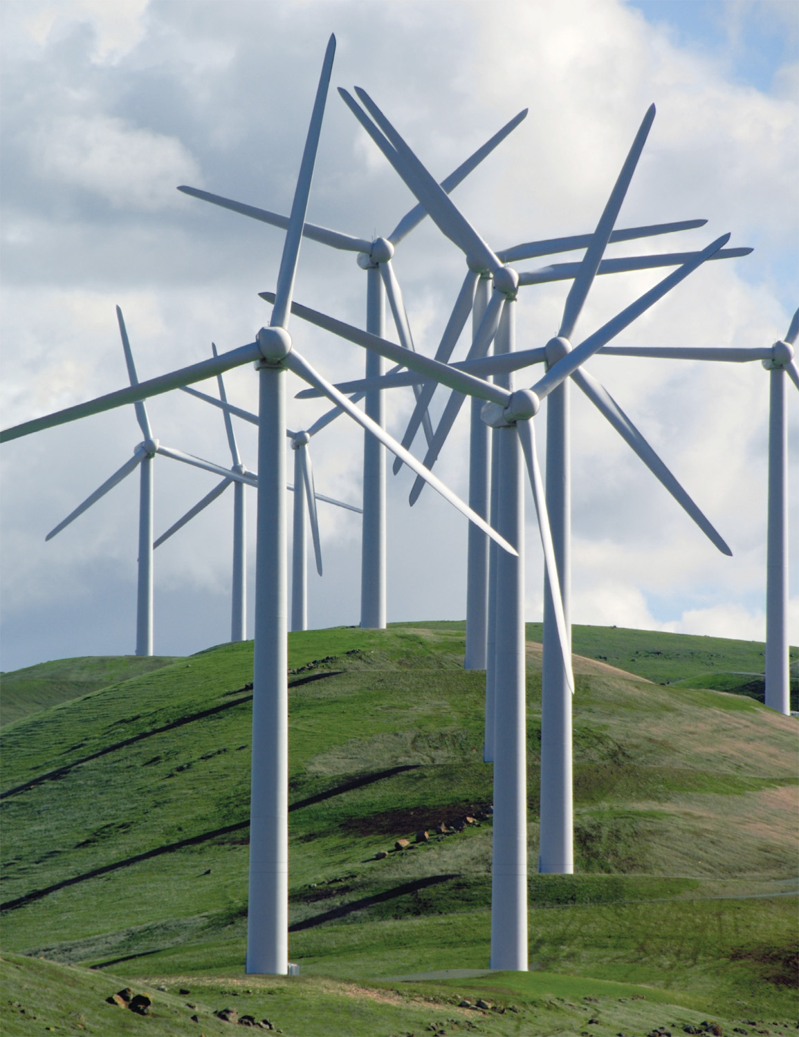 Riding on The Wind | Fortnightly