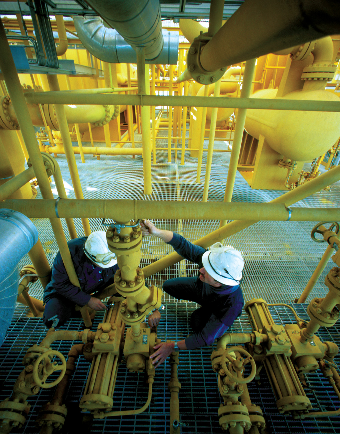 The New Gas Wisdom | Fortnightly