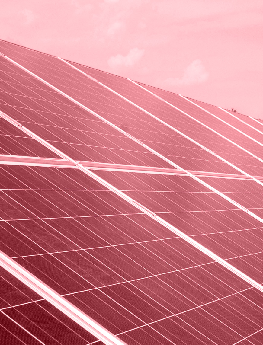 Solar Pink Slip | Fortnightly