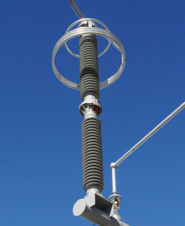 Killing the Goose | Fortnightly