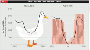 Duck Curve Now Canyon Cliffs | Fortnightly